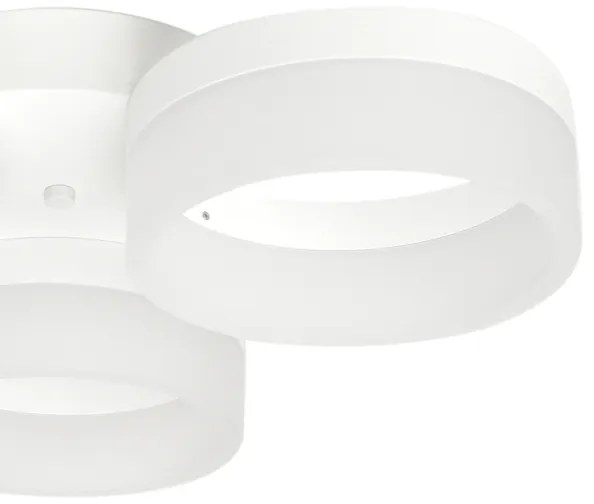 LED Stropní svítidlo RING 3xLED/12W/230V bílé