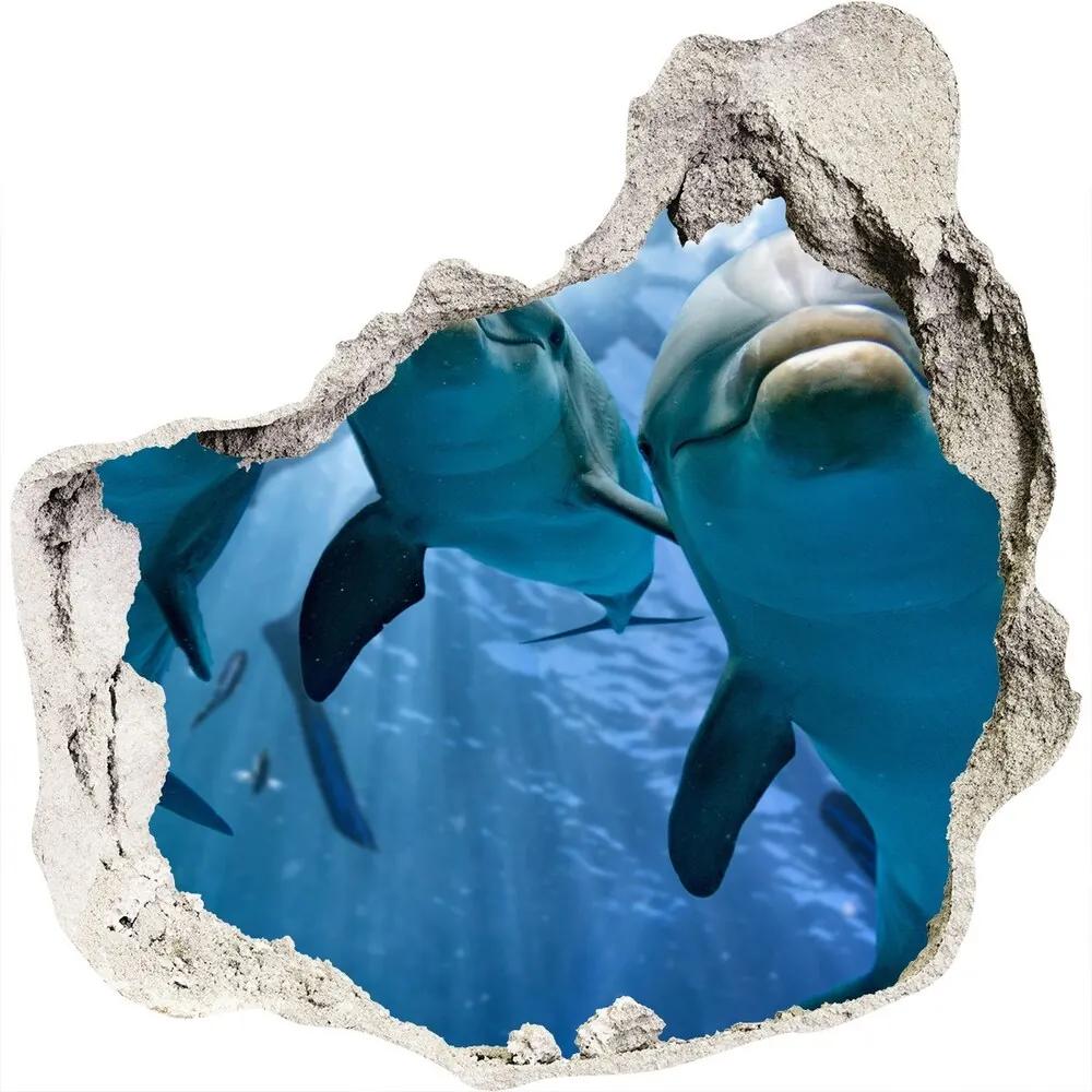 Wallmuralia Díra 3D fototapeta na stěnu Tři delfíni 75x75 cm