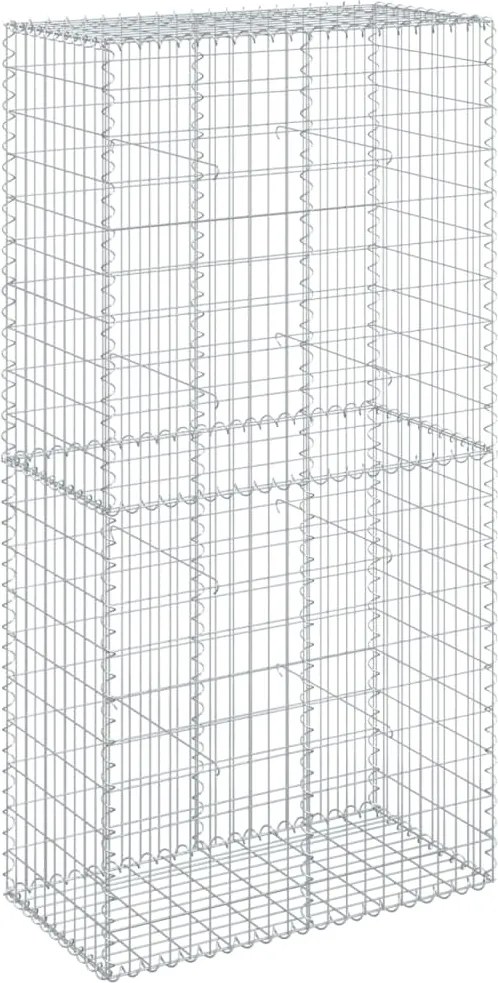Gabionový koš s víkem 100 x 50 x 200 cm pozinkované železo 3295166