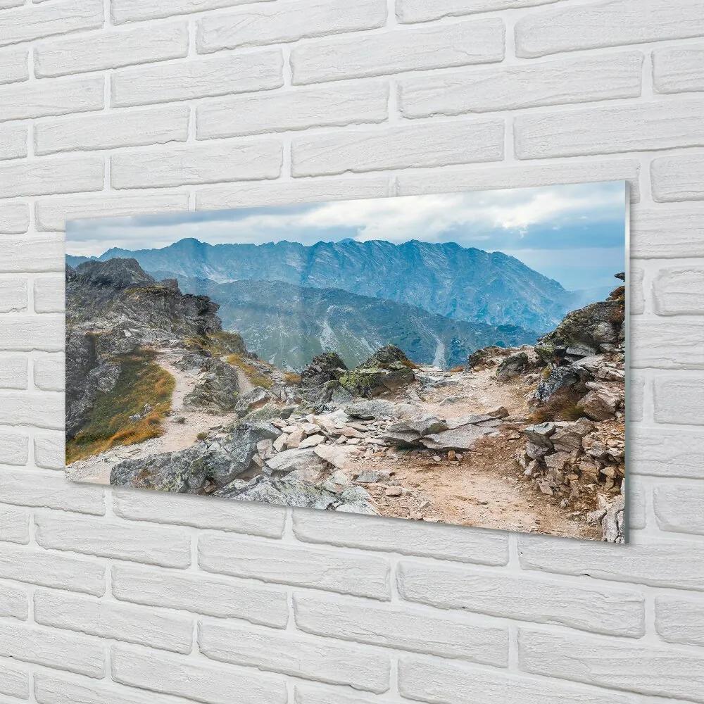 Obraz na skle hory 100x50 cm