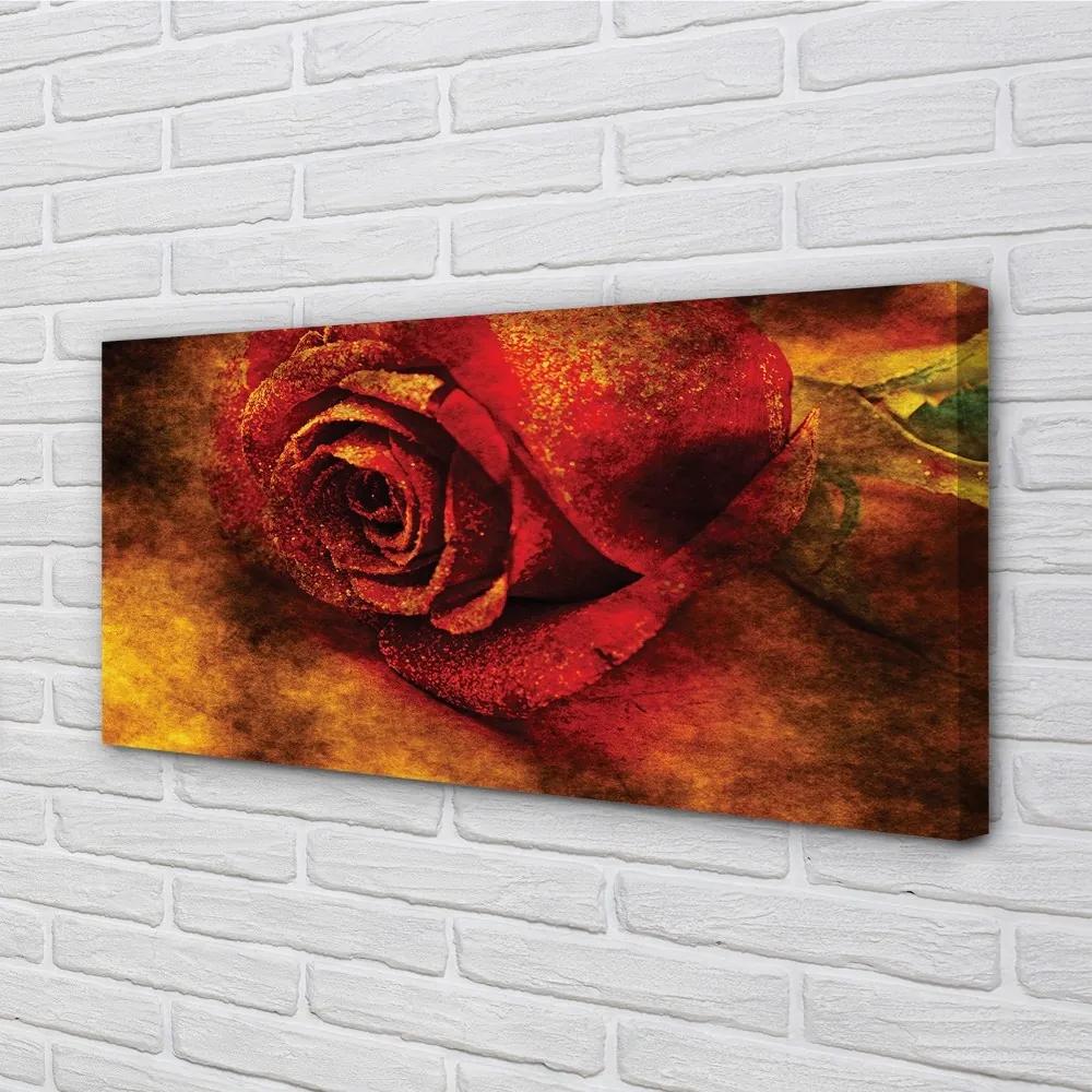 Obrazy na plátně rose picture 100x50 cm