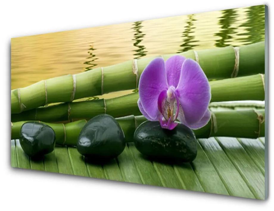 akrylový obraz Květ Kameny Bambus Příroda 120x60 cm