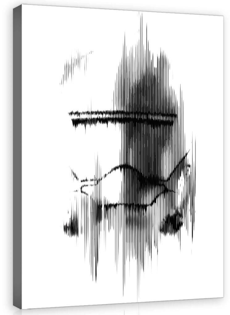 Postershop Obraz na plátně: Star Wars First Order Jet Trooper - 75x100 cm