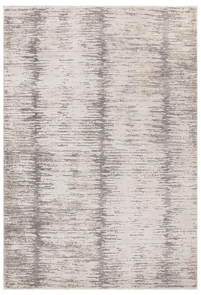 Koberec 120x160 cm Anders Grey – Asiatic Carpets