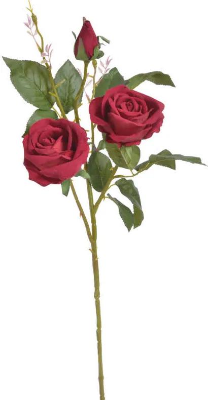 růže 2+1 na dlouhém stonku - červená