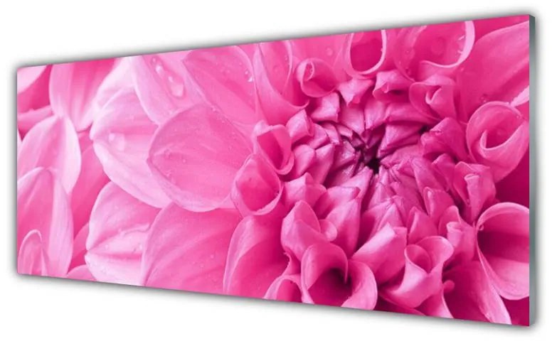 E-shop24, 140 x 70 cm, 4S - 43558826,  Obraz na skle - Astra 140 x 70 cm