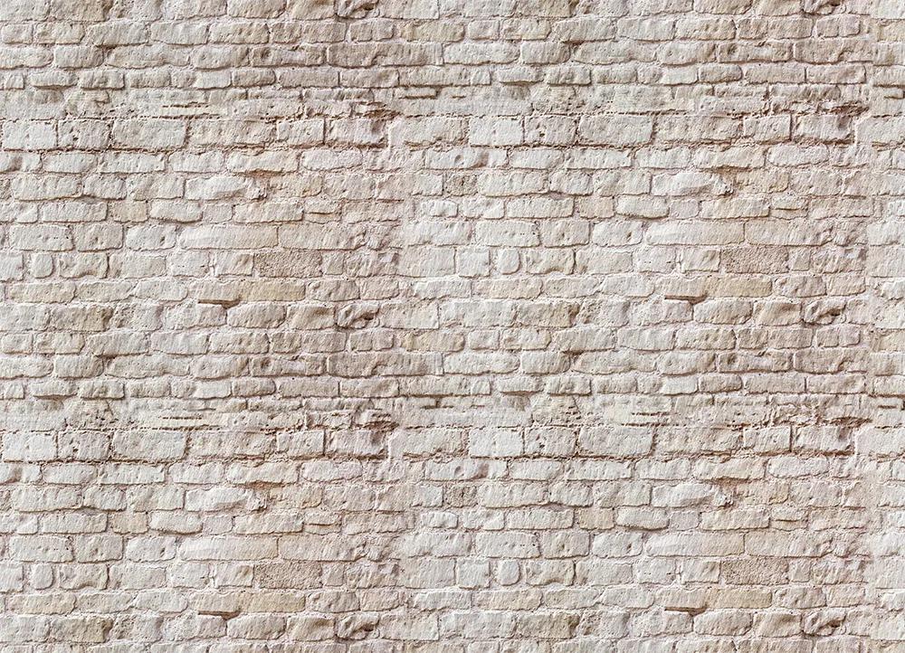 Malvis ® Tapeta Stěna ze starých kamenů Vel. (šířka x výška): 288 x 200 cm