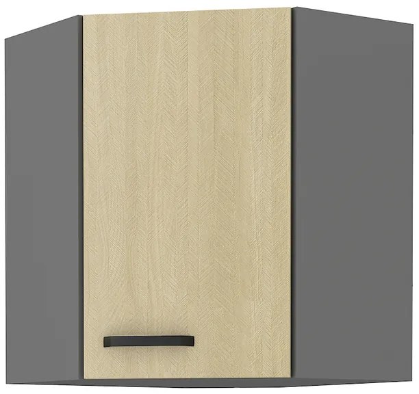 Kuchyňská skříňka SCANDI 60x60 GN-72 1F (45°)