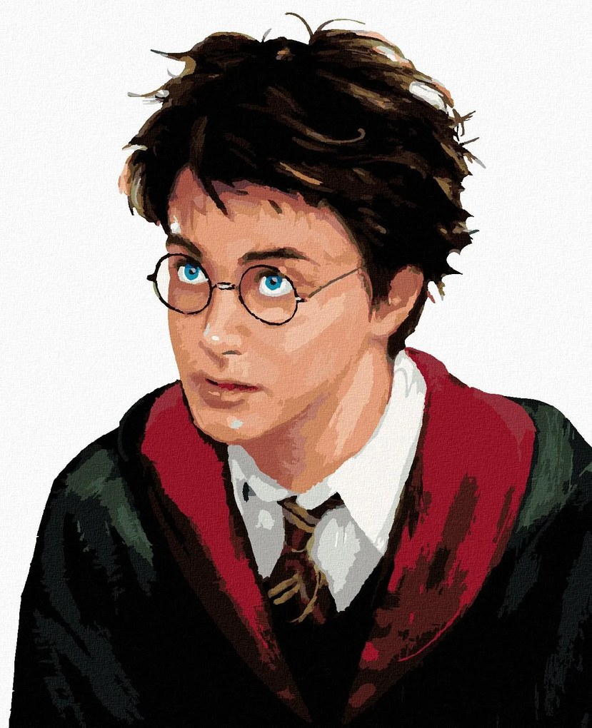 Zuty - harry potter portrét, 40×50 cm, bez rámu a bez vypnutí plátna