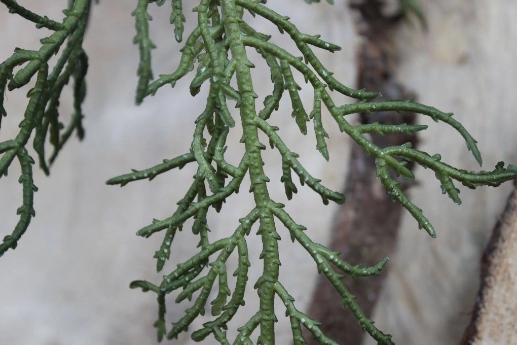 Zelená umělá korálovitá rostlina 95cm