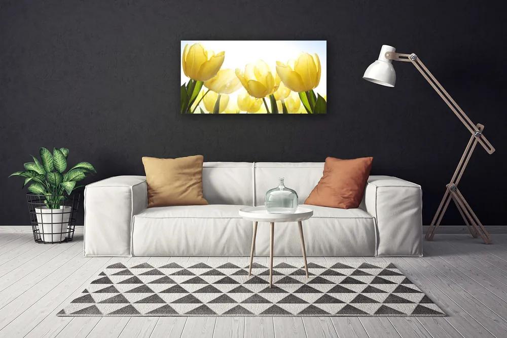 Obraz na plátně Tulipány Květiny Paprsky 120x60 cm