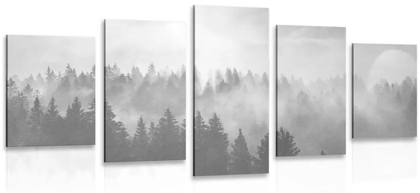 5-dílný obraz mlha nad lesem v černobílém provedení Varianta: 100x50