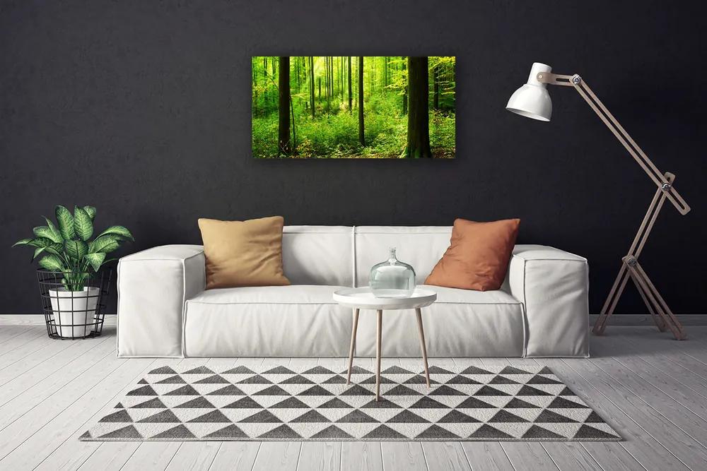 Obraz na plátně Les Zeleň Stromy Příroda 140x70 cm