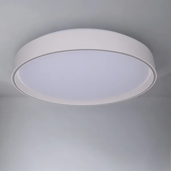 Brilagi-LED Stmív. svítidlo NANCI LED/60W/230V 3000-6500K pr. 49 cm bílá +DO