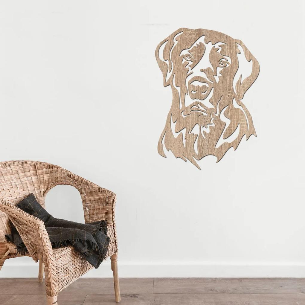 dřevo života Dřevěná dekorace psa Labrador Rozměry (cm): 22x30, Barevný vzor: Světlý dub