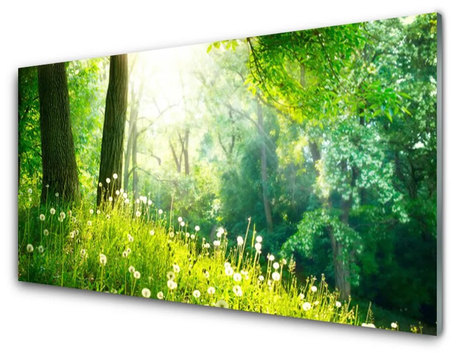 Obraz na skle Louka Příroda Rostlina 125x50 cm