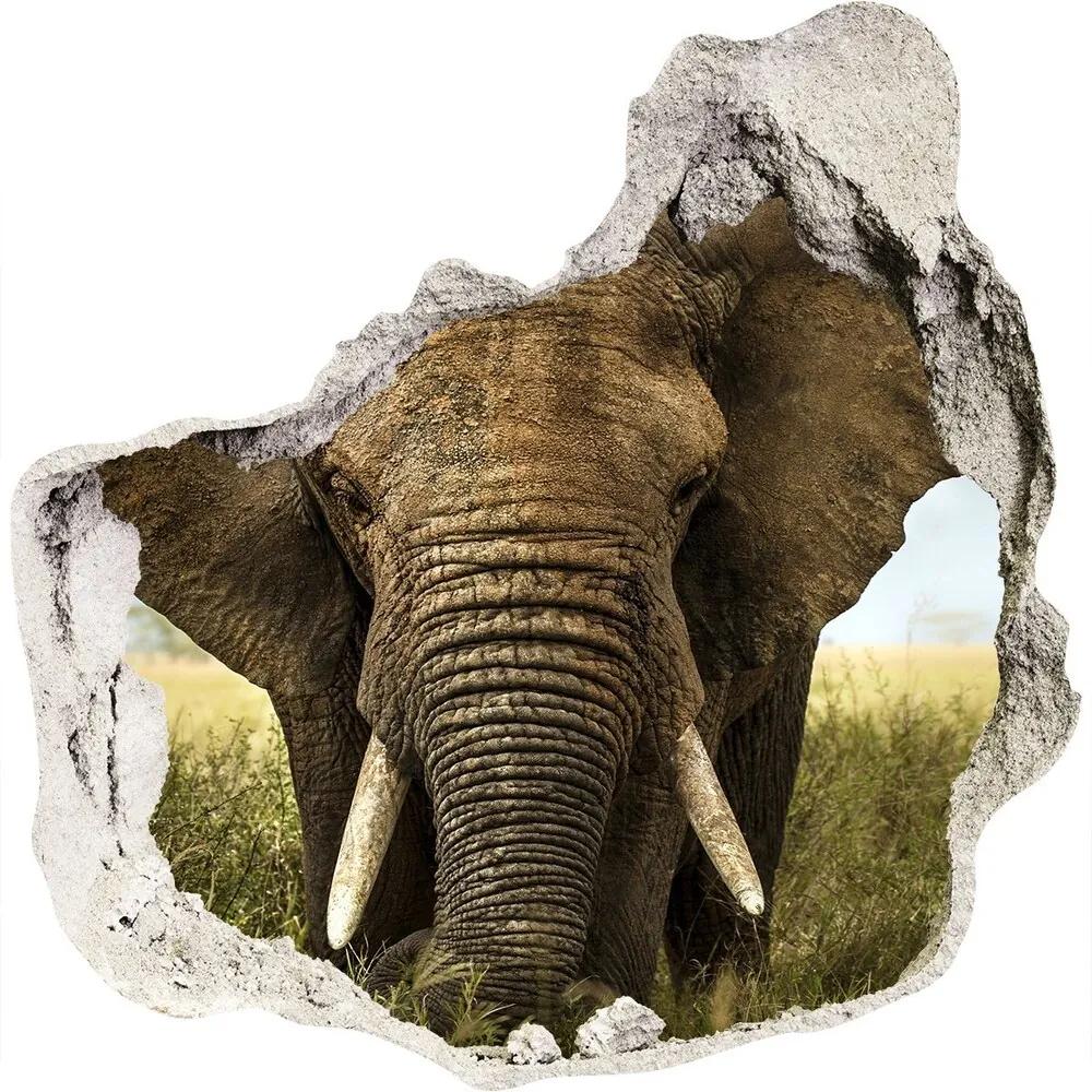 Wallmuralia Díra 3D fototapeta na stěnu Sloni na savaně 75x75 cm