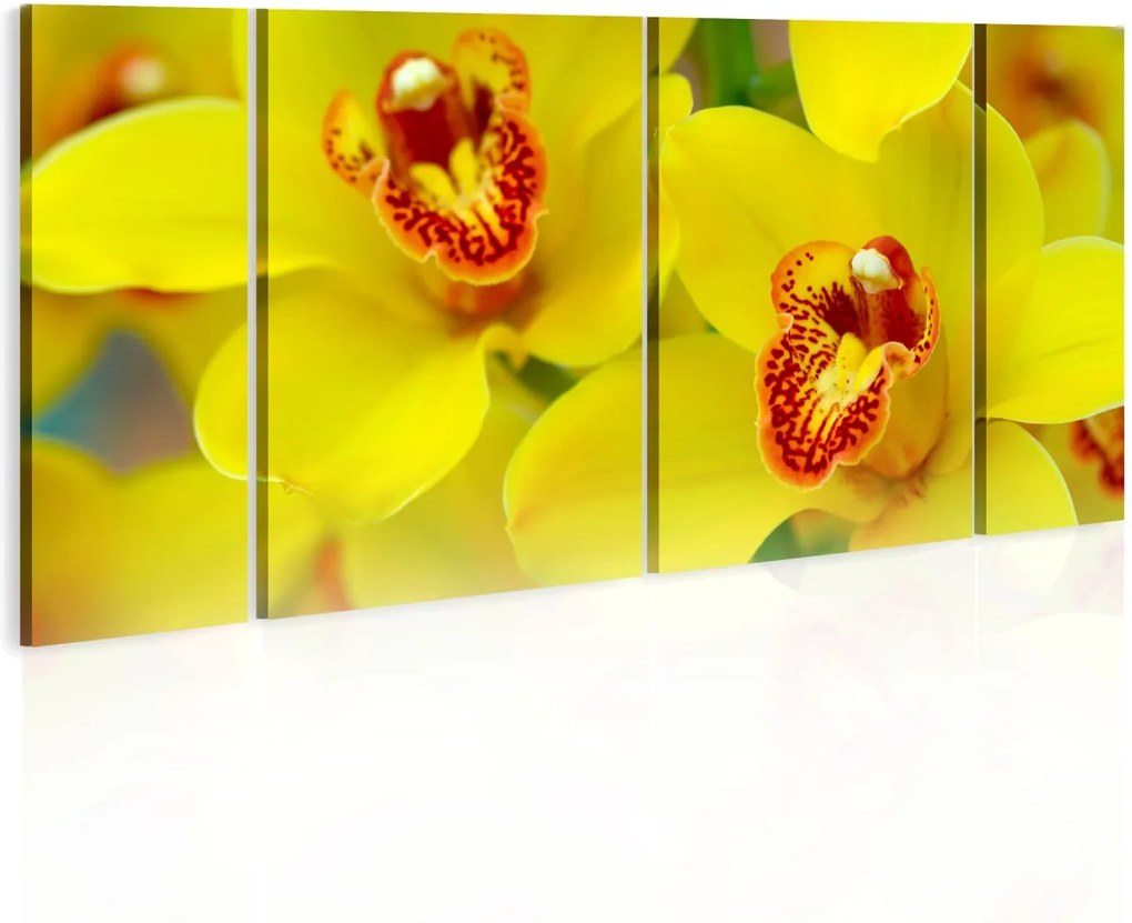 Obraz - Orchids - intensity of yellow color - 120x60