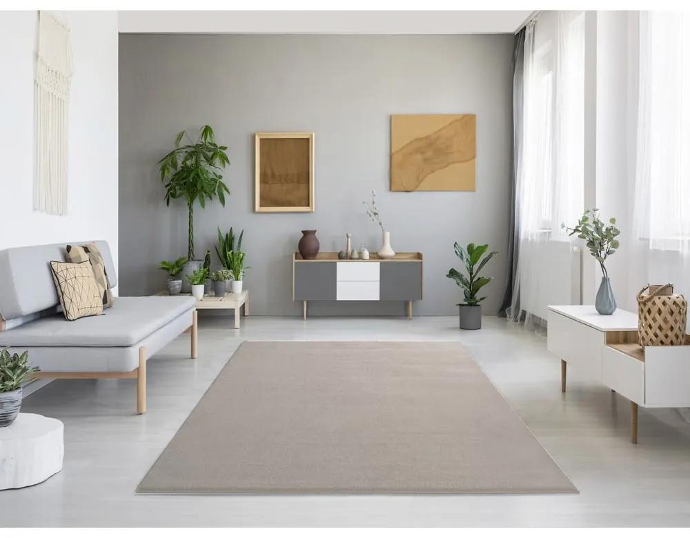 Béžovo-šedý koberec 120x170 cm – Universal