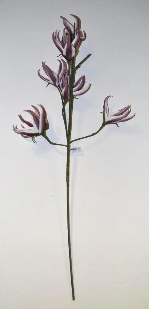 Kaučuková květina fialovo bílá 115cm, květ 15cm