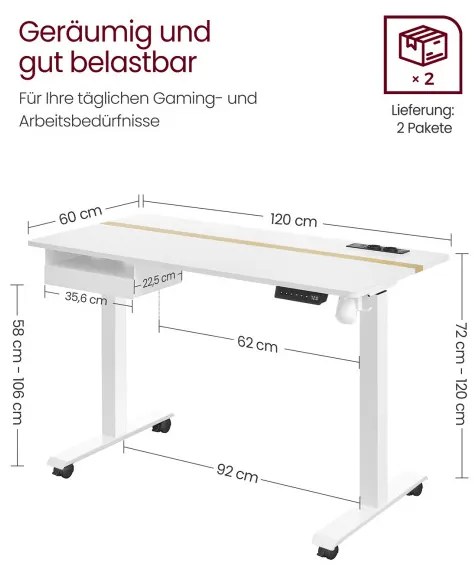 Elektrický kancelářský stůl LSD112W01