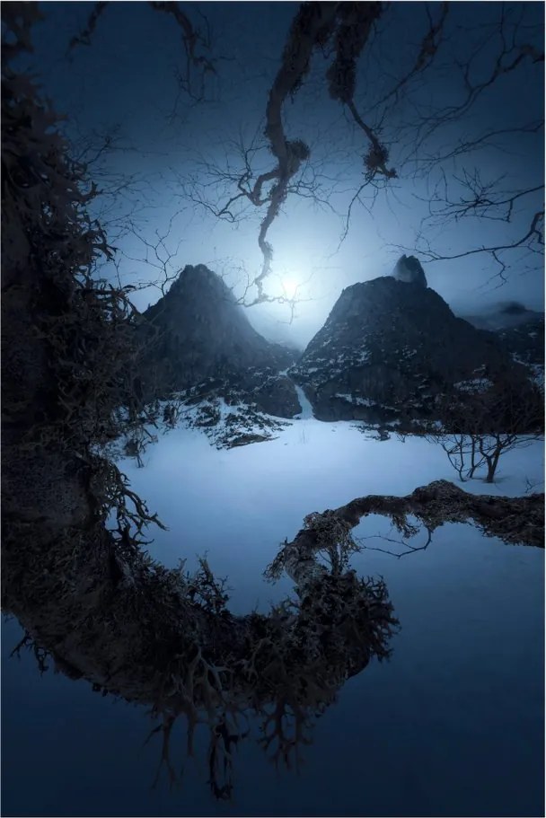 Filip Hrebenda | Octopus Rám: Černý, Velikost: 70 x 50 cm