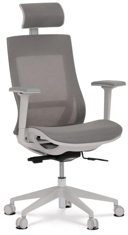 Kancelářská ergonomická židle VEGA — síťovina, šedá Autronic