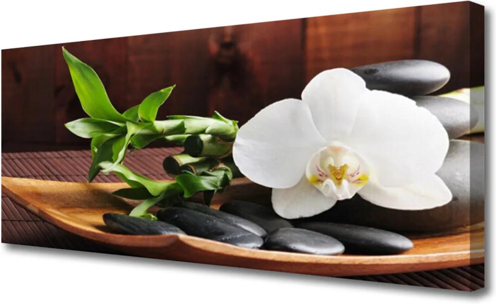 Obraz Canvas Kameny Zen Bílá Orchidej
