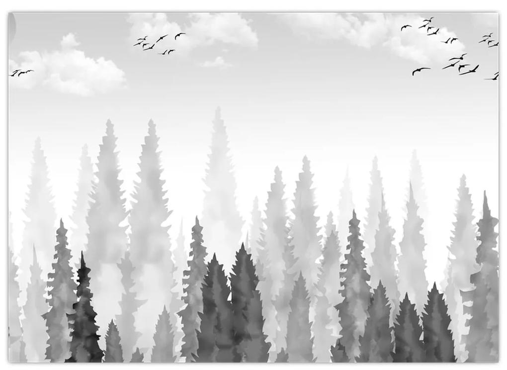 Obraz - Vrcholky lesů (70x50 cm)