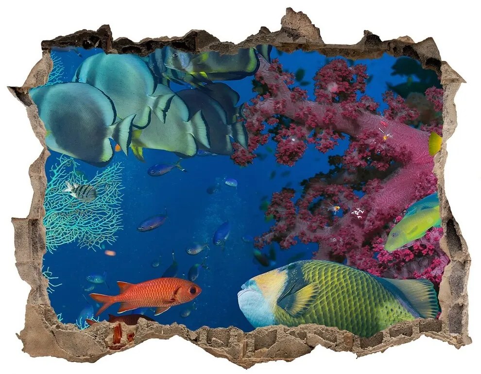 Wallmuralia Díra 3D fototapeta na stěnu Korálový útes 95x64 cm