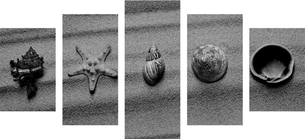 5-dílný obraz mušle na písečné pláži v černobílém provedení Varianta: 100x50