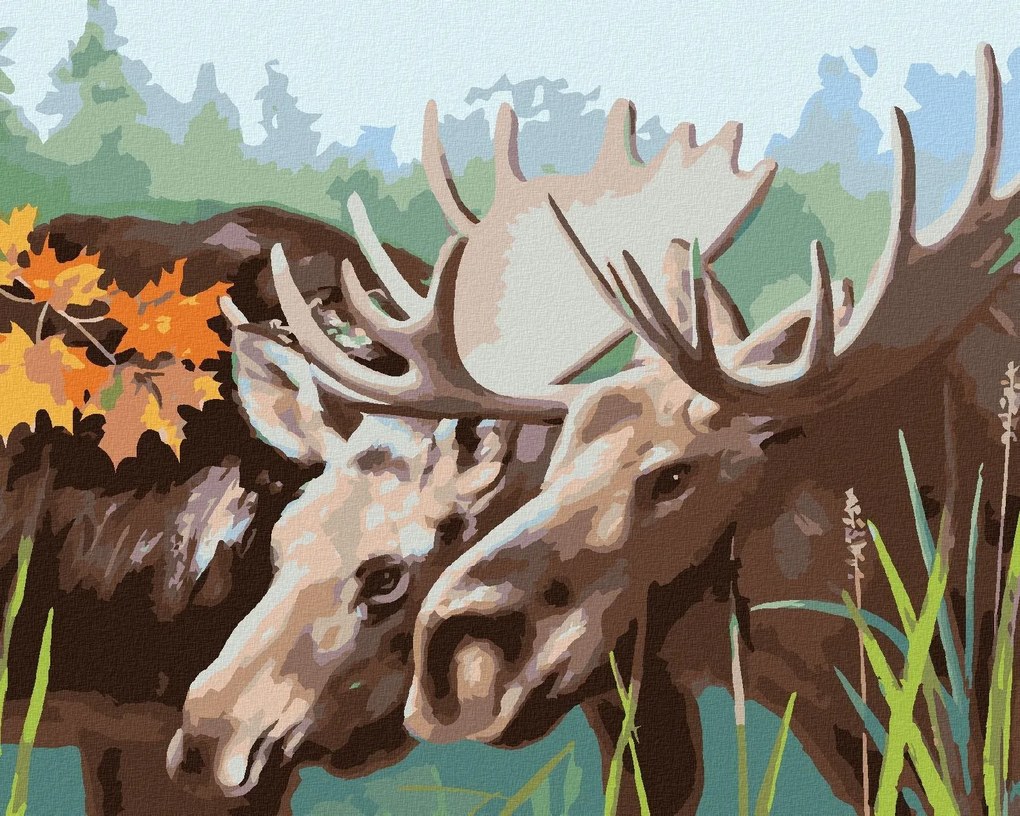 zuty zuty - malování podle čísel - losí pár (d. rusty rust), 40x50 cm, plátno+rám