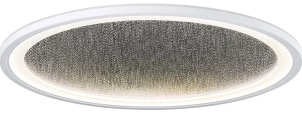 Brilliant - LED Stmívatelné stropní svítidlo TANIDA LED/31W/230V 3000-6500K + DO