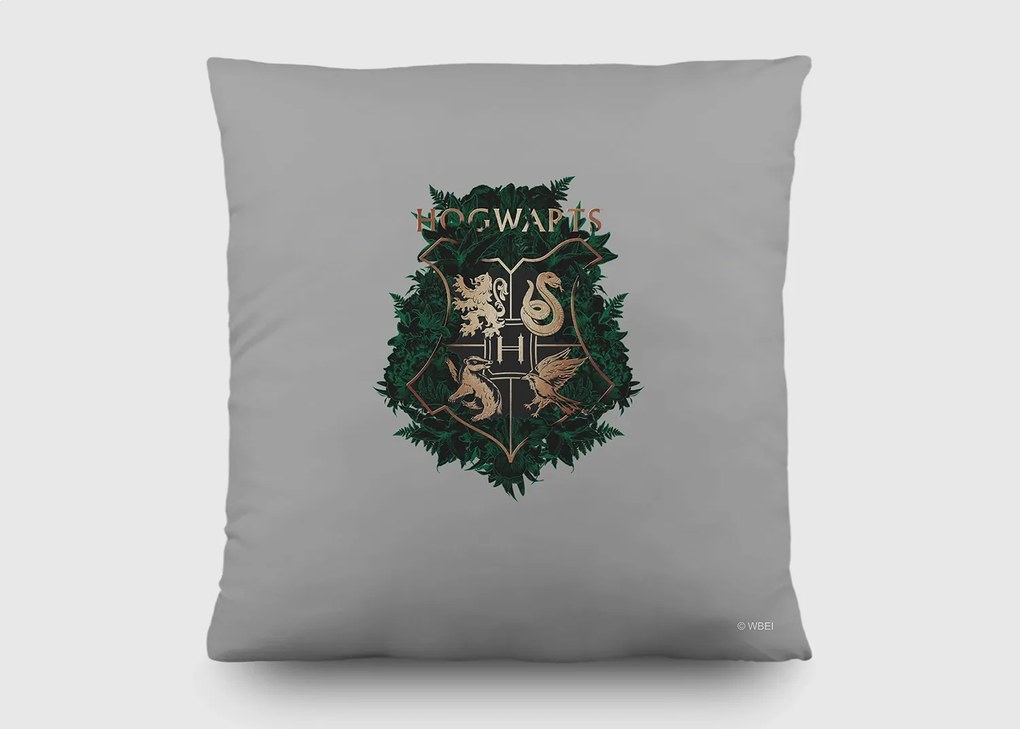 Dekorativní polštářek Harry Potter | 40 x 40 cm | DCND3157