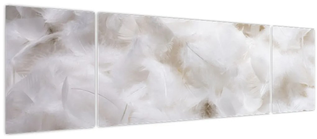 Obraz - Bílé peří (170x50 cm)
