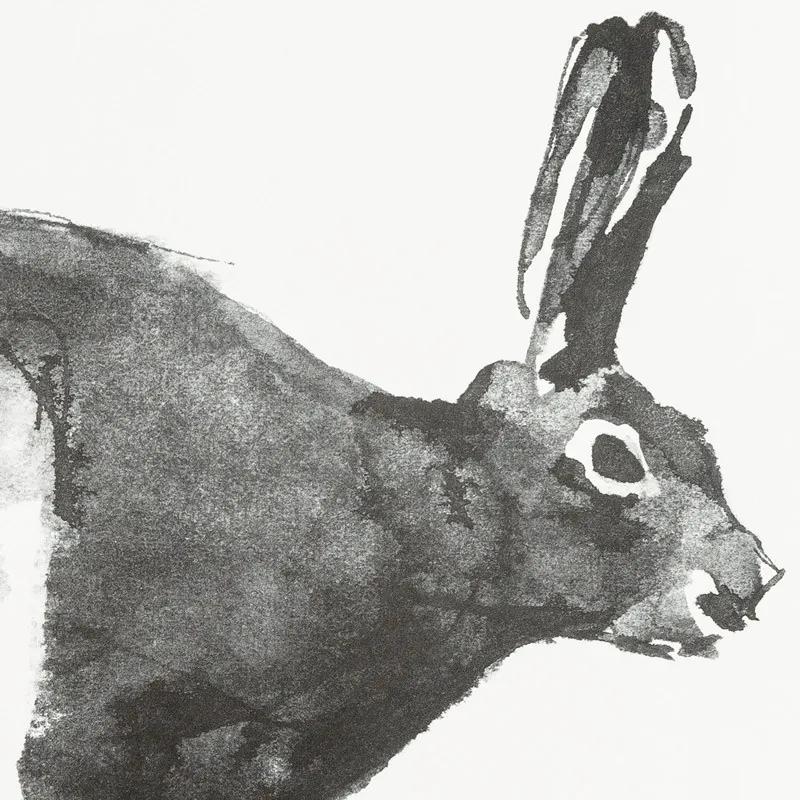 Plakát Mountain Hare 70x50