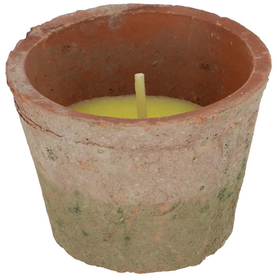 Vonná svíčka doba hoření 10 h Citronelle – Esschert Design