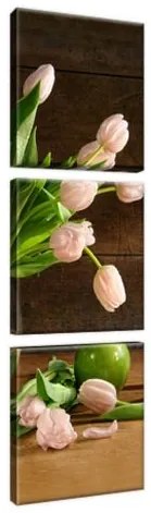 Tištěný obraz Krásné tulipány 30x90cm 2158A_3V