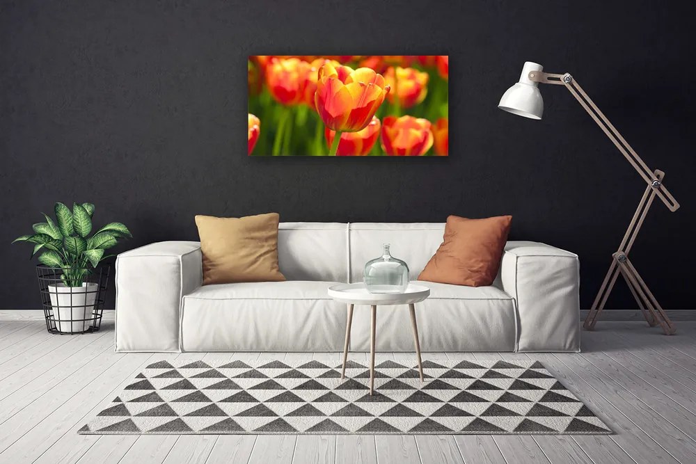 Obraz na plátně Tulipány Květiny Rostlina 120x60 cm