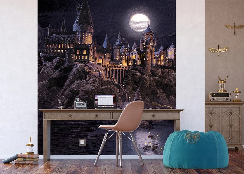 Dětská vliesová fototapeta na zed' Harry Potter | 225 x 270 cm | DFTD3P5177