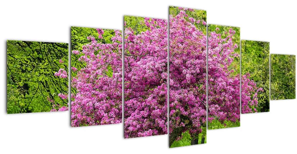 Obraz rozkvetlého stromu na louce (210x100 cm)