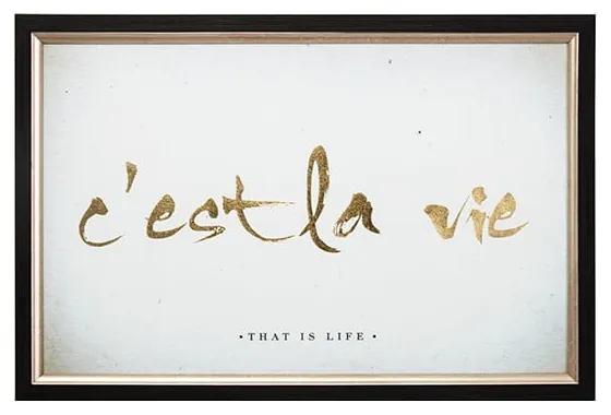 Obraz v rámu Graham & Brown La Vie, 60 x 40 cm