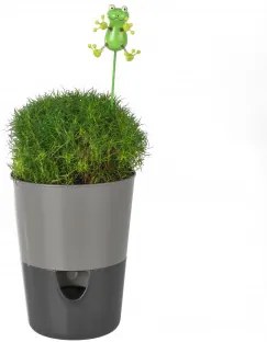 Samozavlažovací květináč Rosmarin šedá/antracit 11 cm