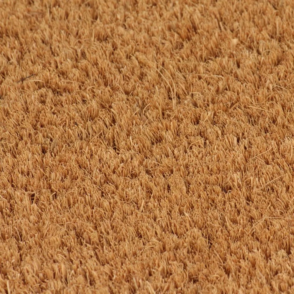 Rohožka před dveře přírodní 50 x 80 cm kokosové vlákno 155600