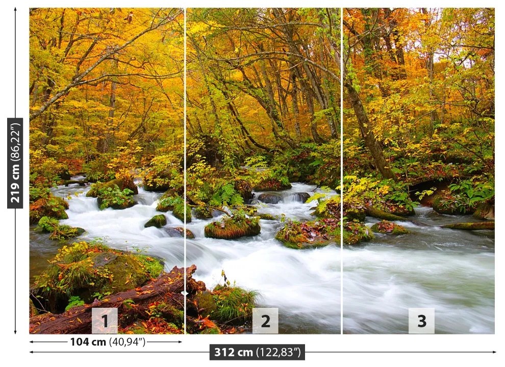 Fototapeta Řeka v Japonsku 104x70