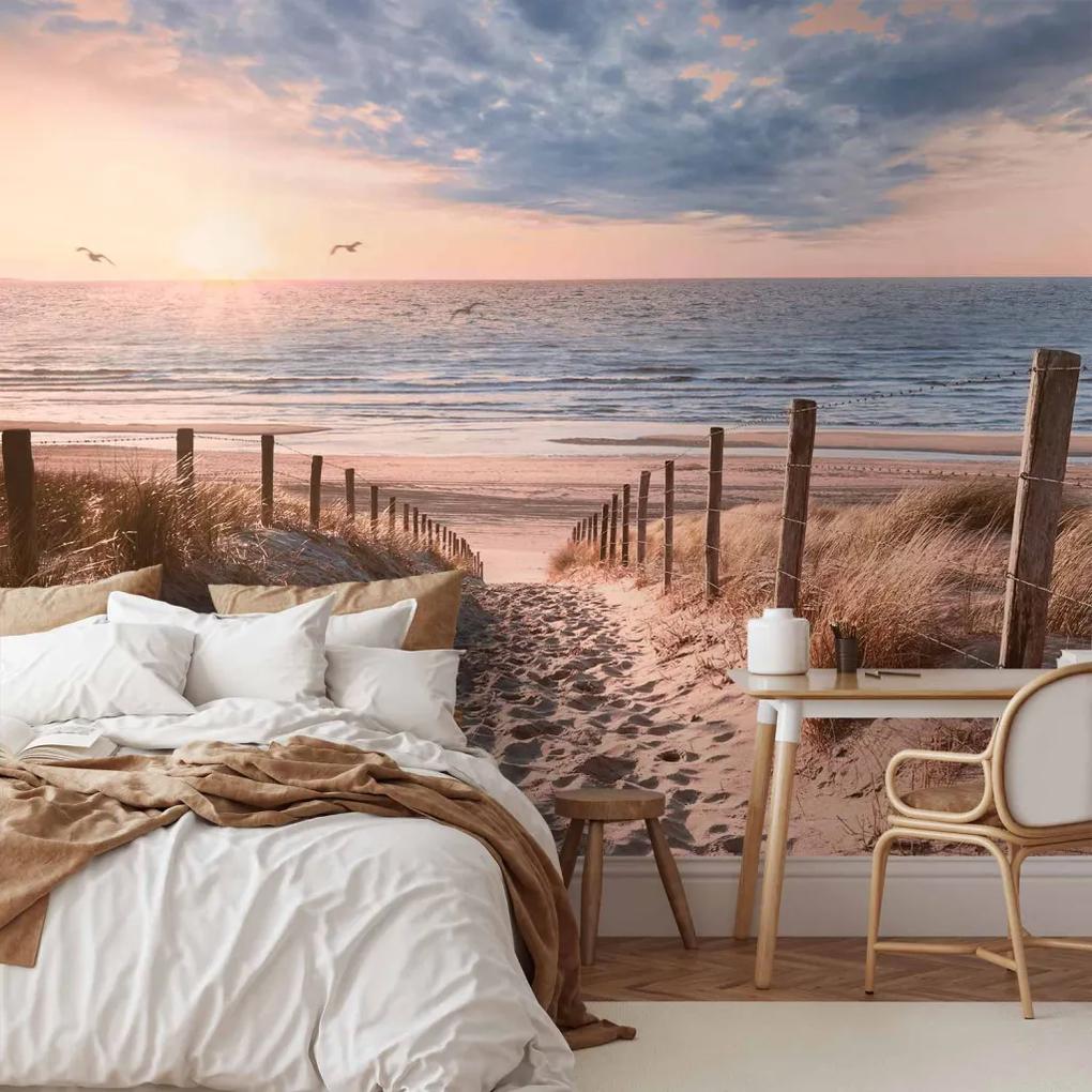 Fototapeta Větrný písek - slunečná krajina s cestou na pláž a mořem v pozadí