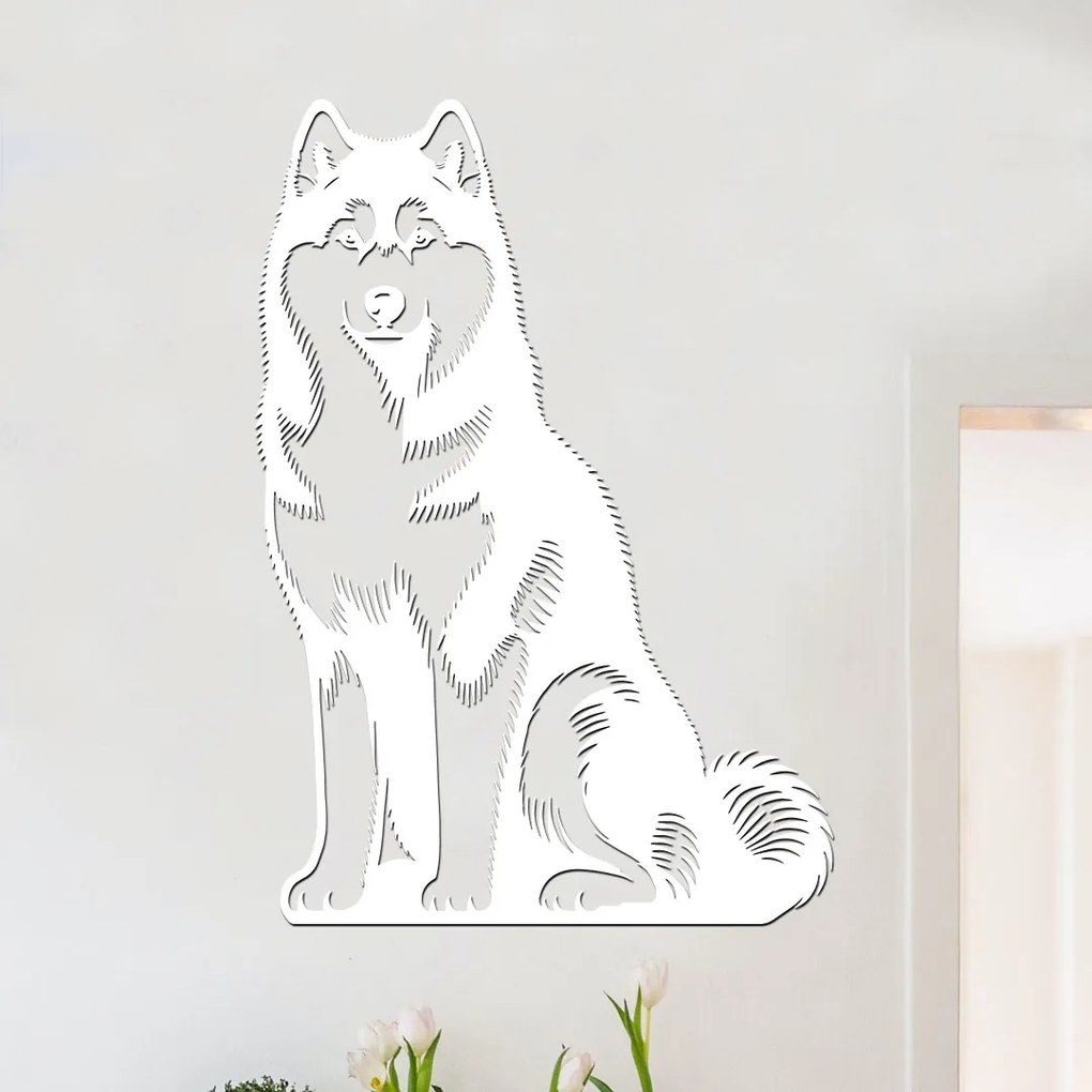 dřevo života Dřevěný obraz psa Husky Zvolte rozměr (cm): 24x40, Zvolte barvu dekoru: Černá