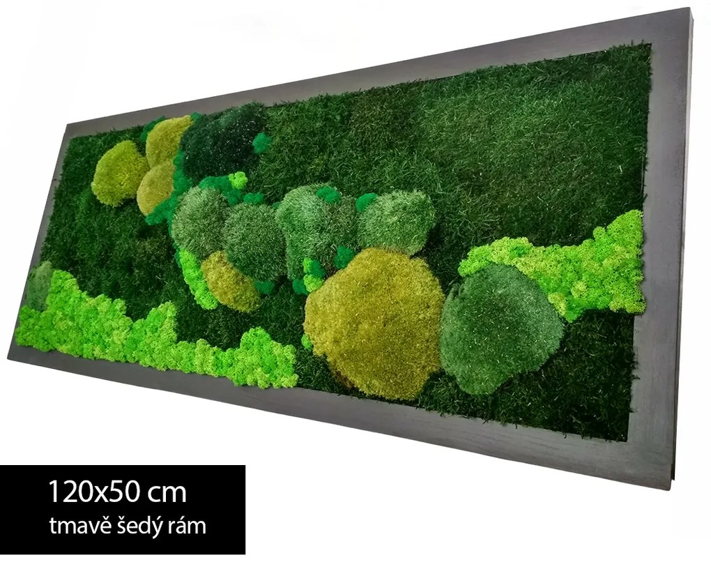 Mechový obraz|kombinace mechů Rozměr obrazu: 70x50 cm, Barva rámu: Vlastní (specifikujte do poznámky v objednávce), Síla rámu (pohledová): 3,7 cm