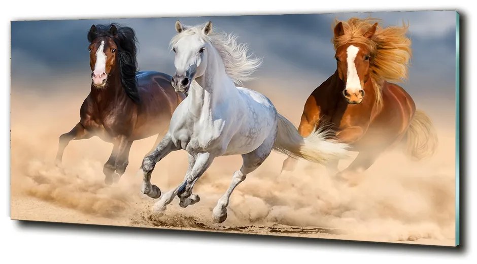 Wallmuralia Foto obraz fotografie na skle Koně na poušti 125x50 cm