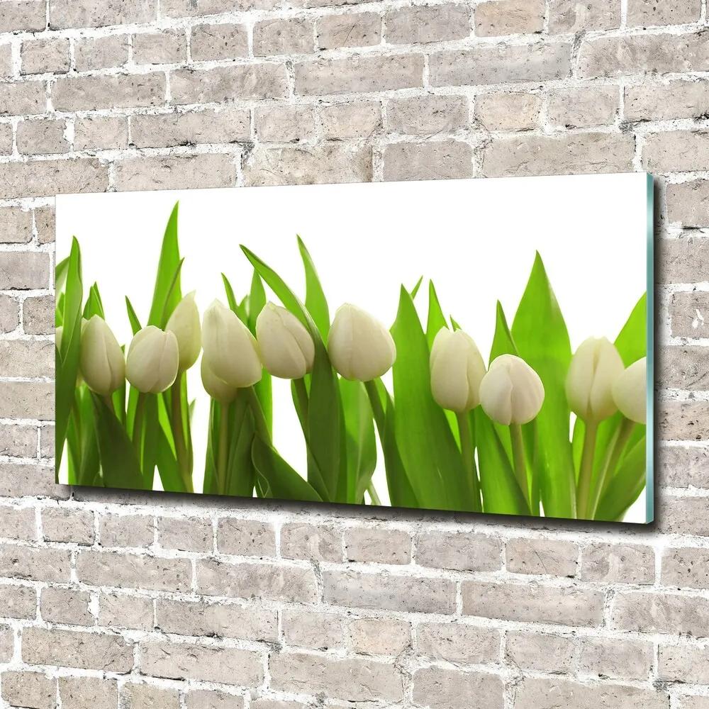 Wallmuralia Foto-obrah sklo tvrzené Bílé tulipány 140x70 cm